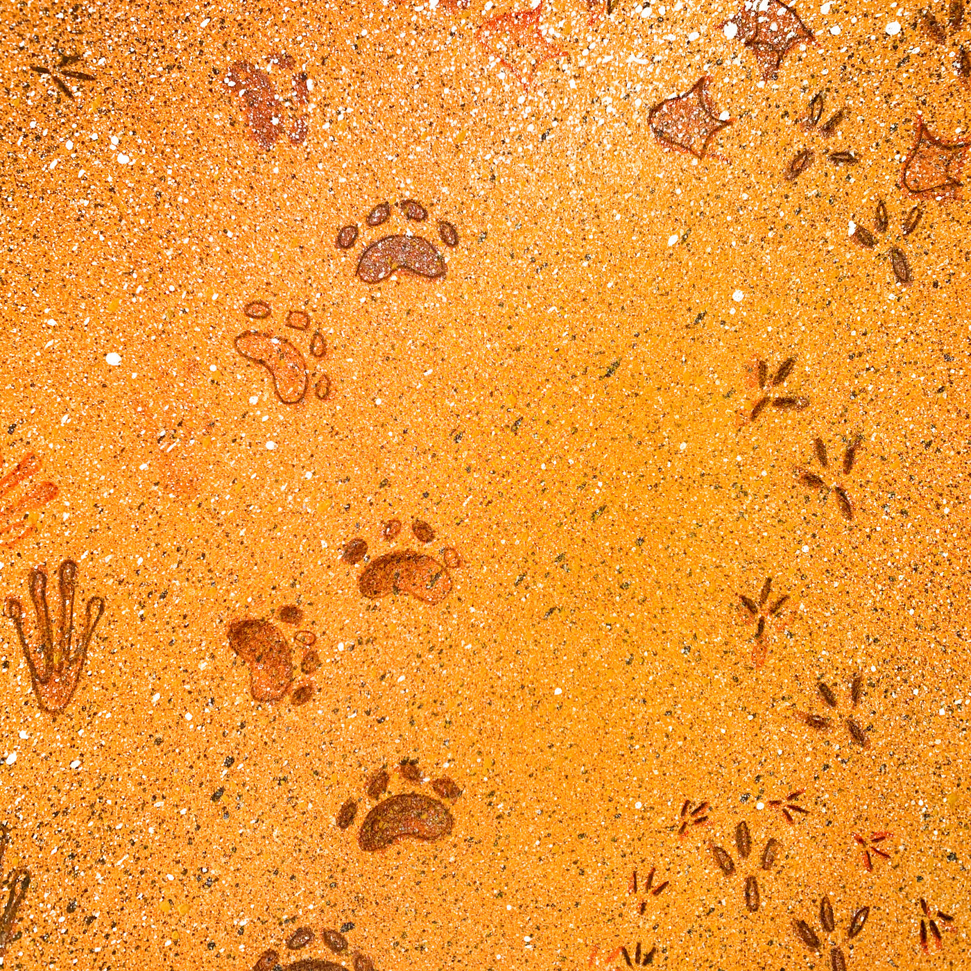 Las manchas de Daniela / Daniela's Smudges — Aparicio Distributors, Inc.